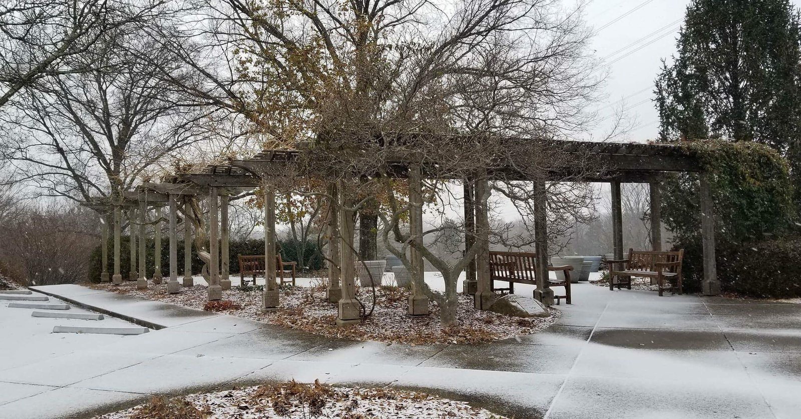 Top Things to Do in Cincinnati, Ohio – Starry Eyes Travel